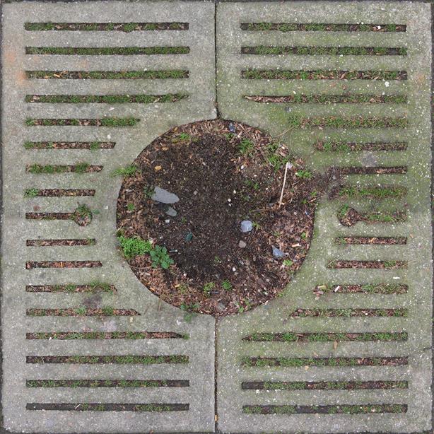 Kaslik Workshop | Ground Tree Drain