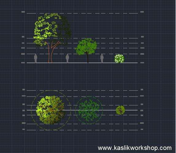 Kaslik Workshop | Tree Top and Front View