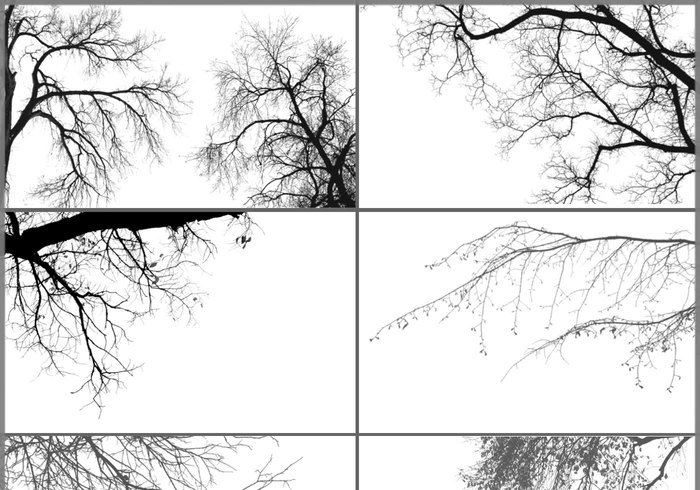 Kaslik Workshop | Tree Elevation Brushes