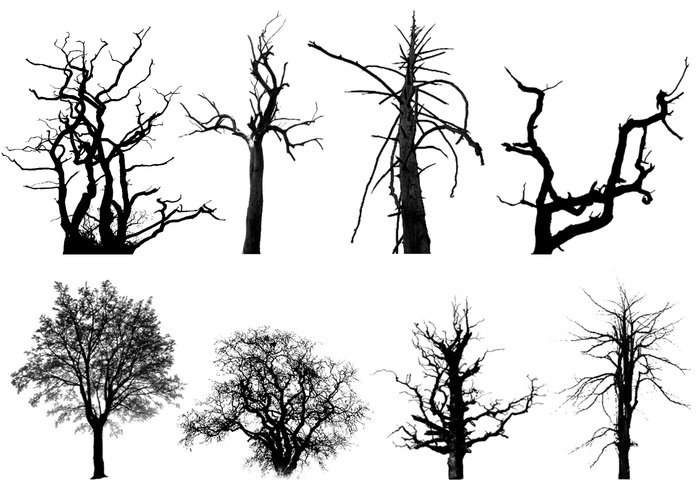 Kaslik Workshop | Tree Elevation Brushes