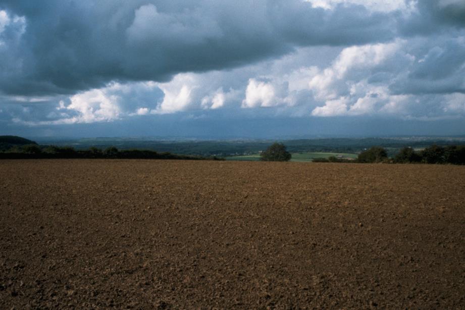 Kaslik Workshop | Field Background