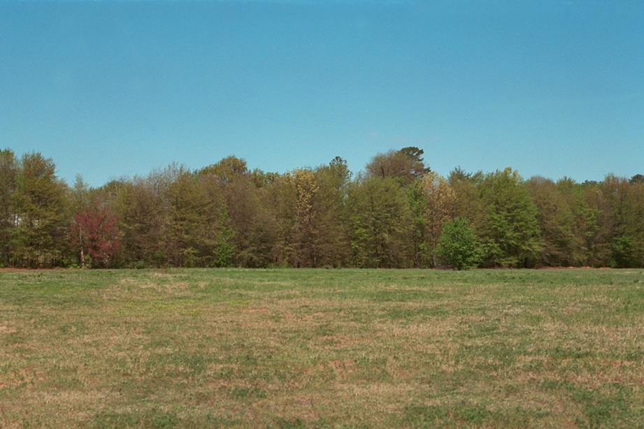 Kaslik Workshop | Land Background