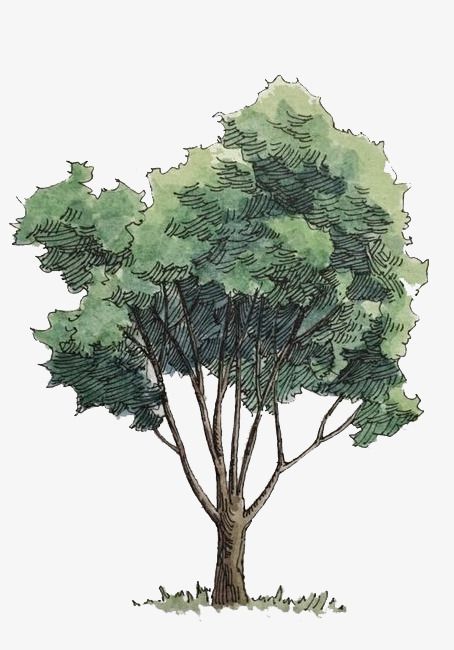 Kaslik Workshop | Sketch 2D Tree