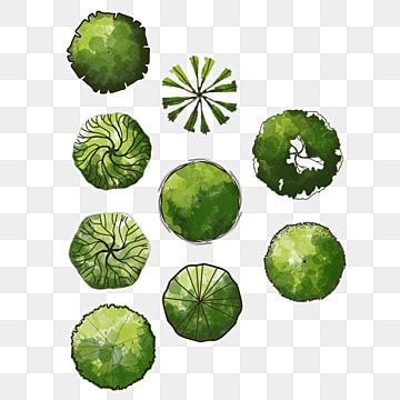 Kaslik Workshop | Landscape Greenery Top View