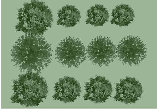 Kaslik Workshop | Plan Trees